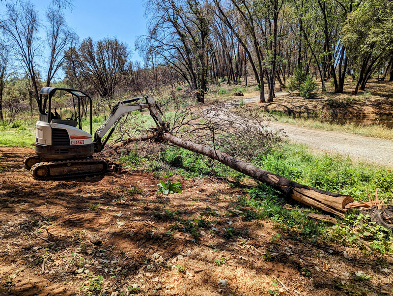 Land Clearing Services · Grass Valley, CA · Van Bemmel Landscape